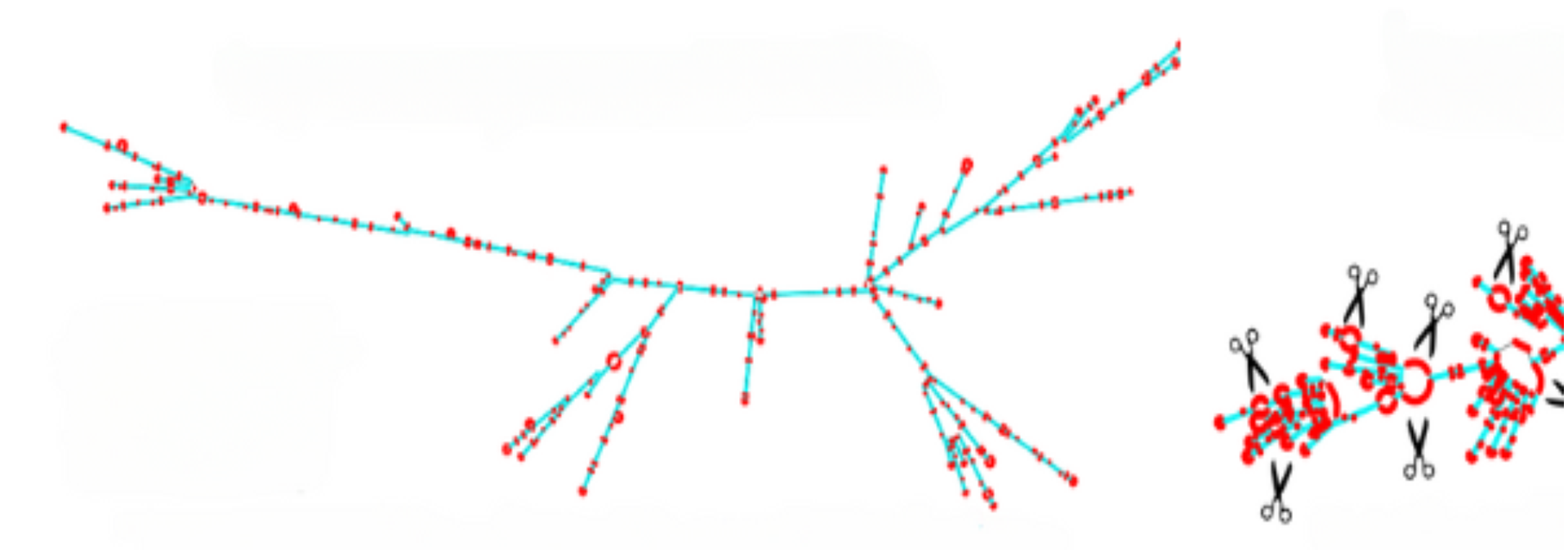 A Search Engine for mRNA: Algorithm Identifies Optimal Sequences to Improve COVID Vaccines ...